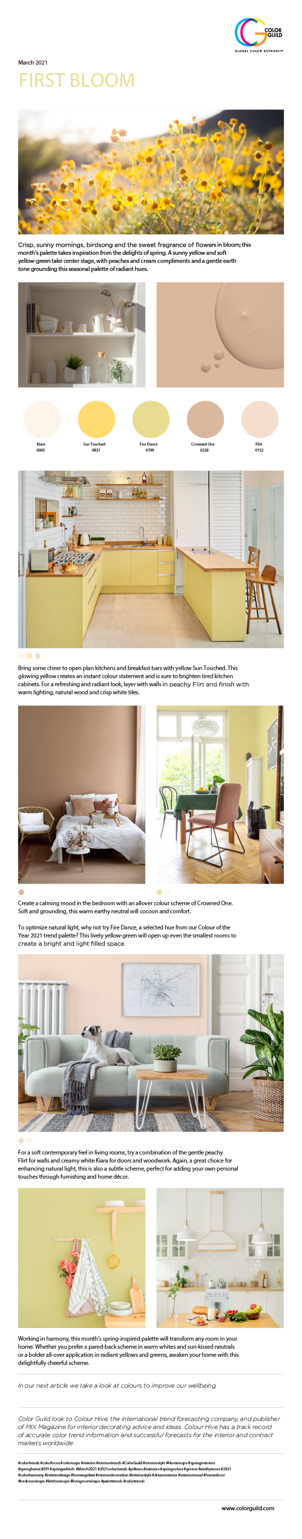 Cloverdale Paint | Colour Trends